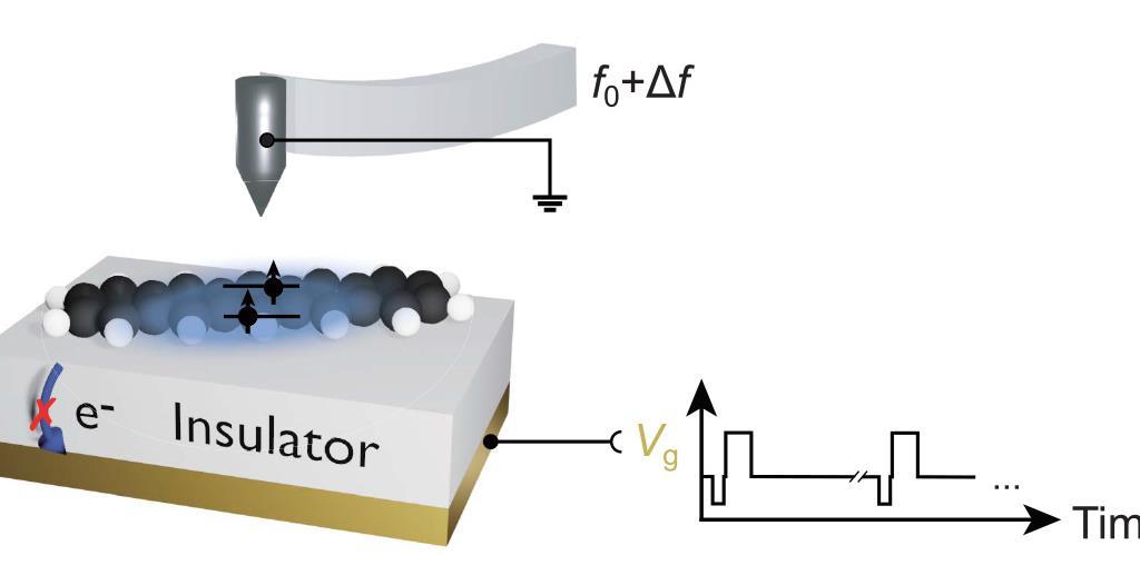 Observing the life and death of a single excited-state molecule ...