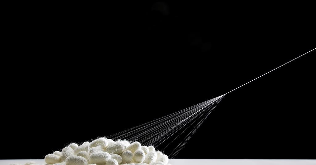 Medical uses for silk | Feature | Chemistry World