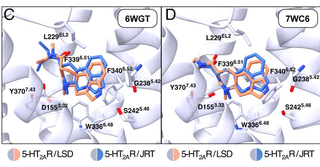 LSD analogue synthesised by swapping just two atoms less likely to ...