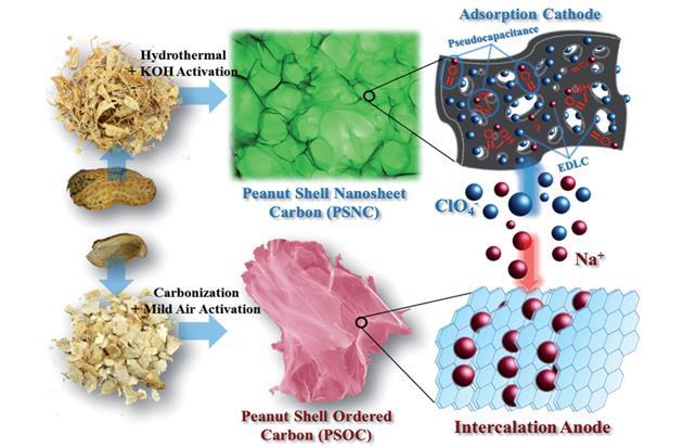 From nutshell to supercapattery | Research | Chemistry World