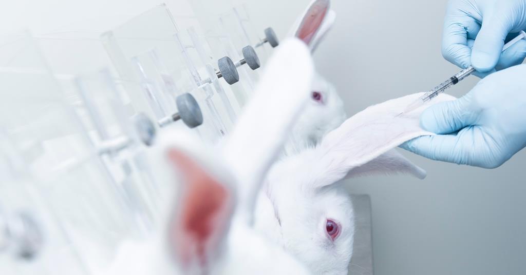 Limulus Amebocyte Lysate | Podcast | Chemistry World