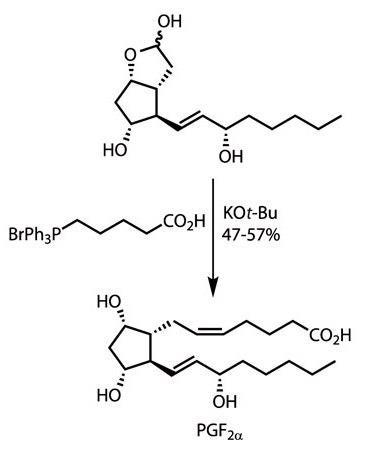 Prostaglandin F2α | Opinion | Chemistry World