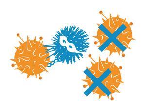 IBM-led team aims molecular antivirus at buildings and people ...