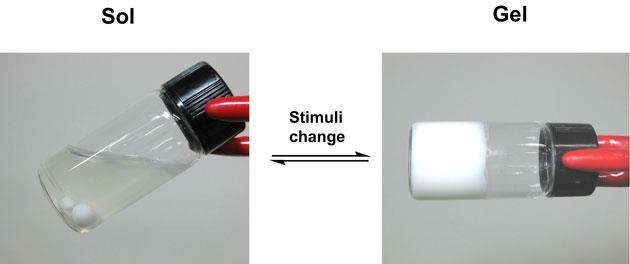 Medicinal hope for injectable hydrogels | Research | Chemistry World