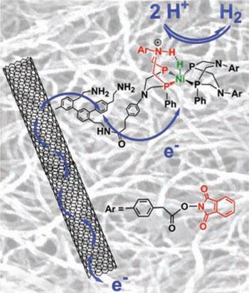 Bio-inspired catalyst design could rival platinum | News | Chemistry World