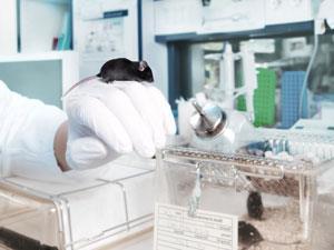 Animal testing failures put drug trial volunteers in danger | News ...