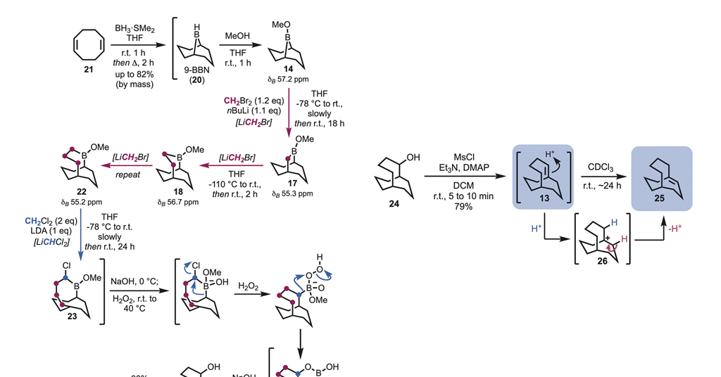 Synthetic strategies overcome Bredt’s rule, unlocking complex ...