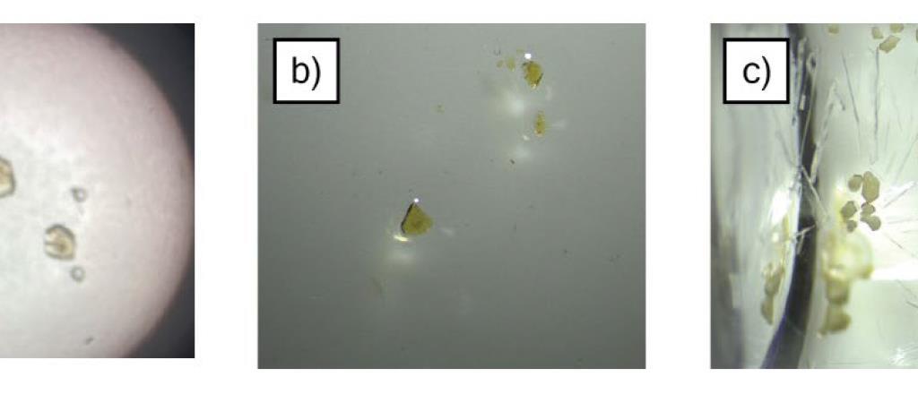 First x-ray structure of radium compound gives glimpse of element’s ...
