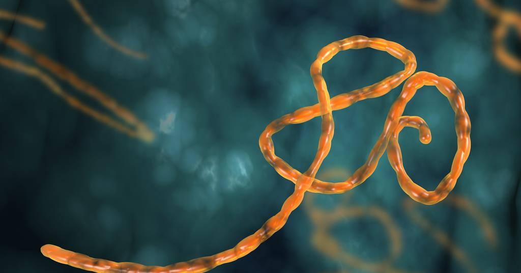 Quick test on pinprick of blood could help stop Ebola in its tracks ...