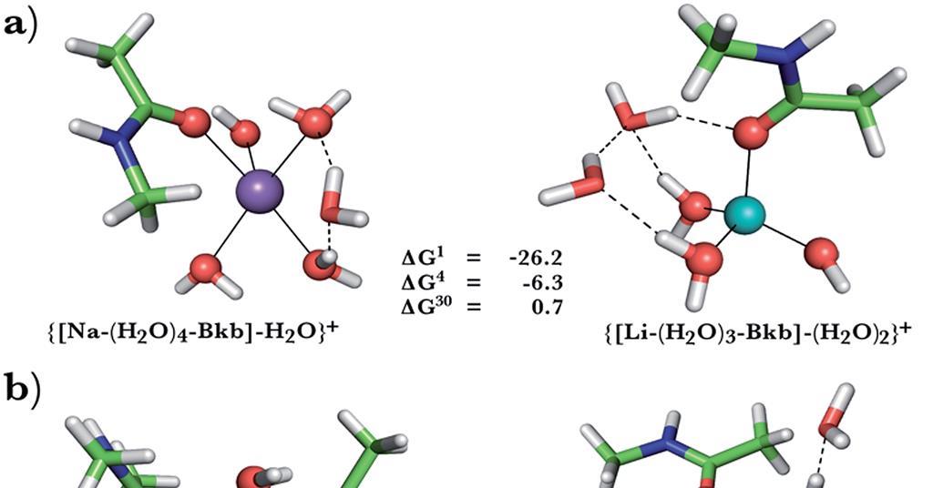 New theory for why lithium helps bipolar patients | Research ...