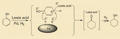 One pot synthesis for nylon precursor | News | Chemistry World