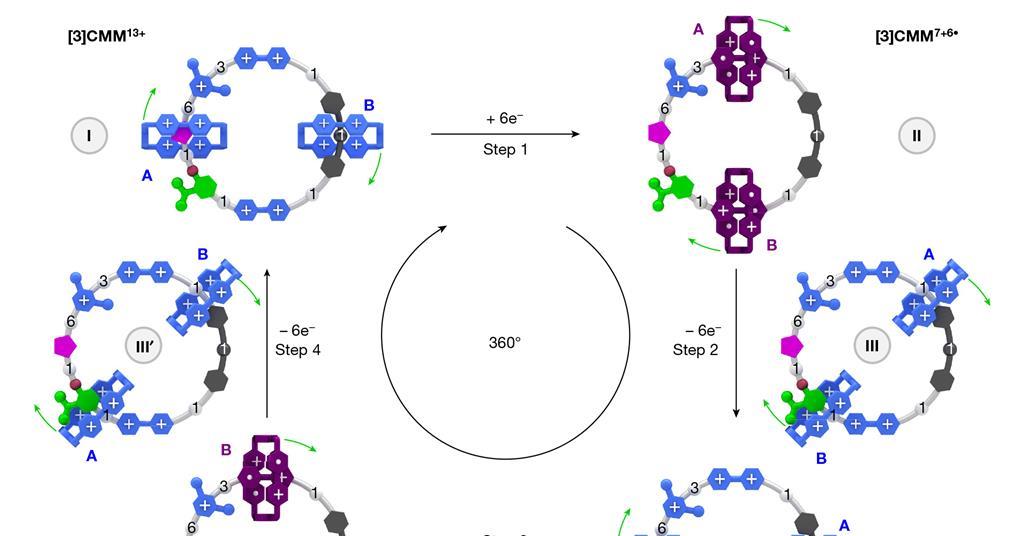 Molecular motor running on electricity mimics biological motors ...