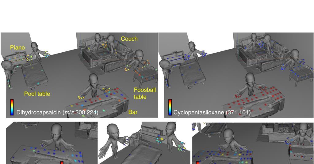 Molecular map-making simplified | Research | Chemistry World