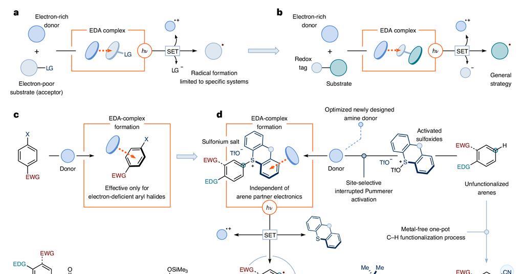 Photochemistry frees arene functionalisation from metals | Research ...