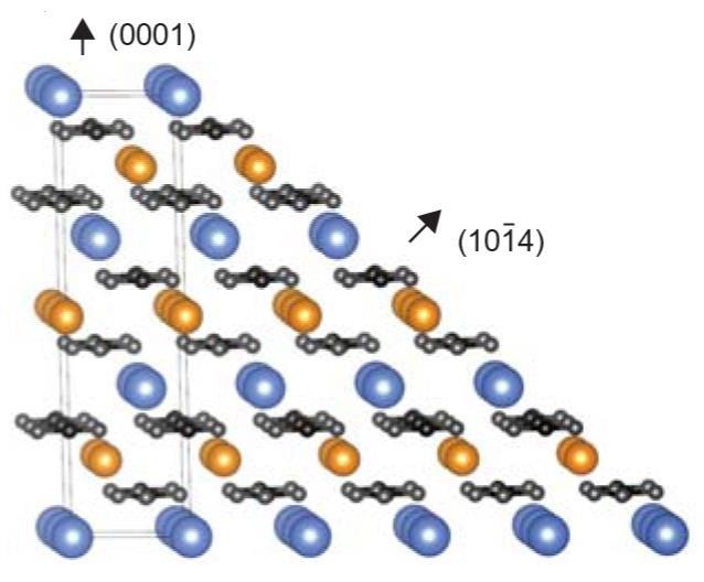 ‘Dolomite problem’ that has puzzled scientists for centuries may have ...