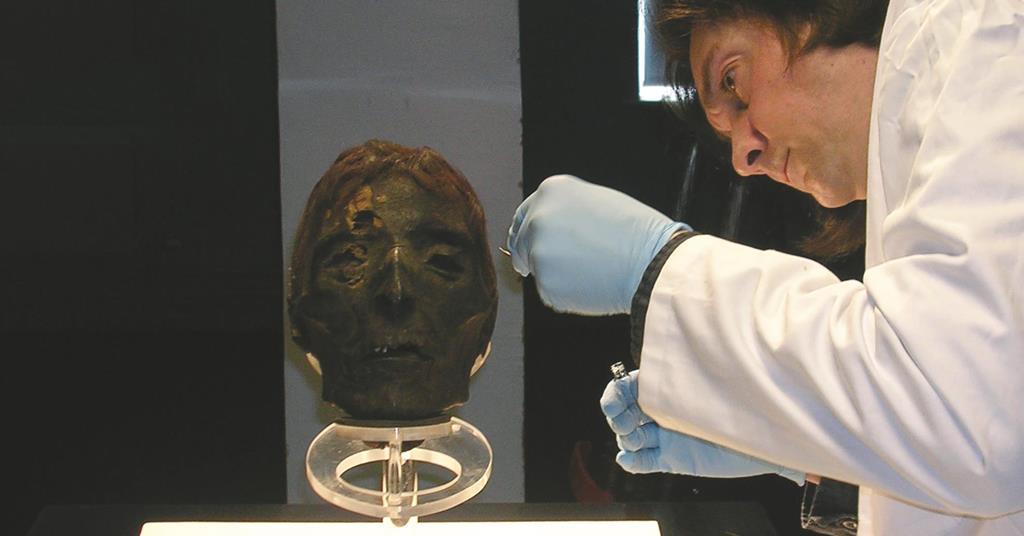 Why I mummified a taxi driver | Careers | Chemistry World