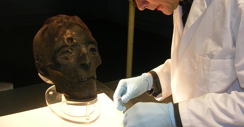 Why I mummified a taxi driver | Careers | Chemistry World