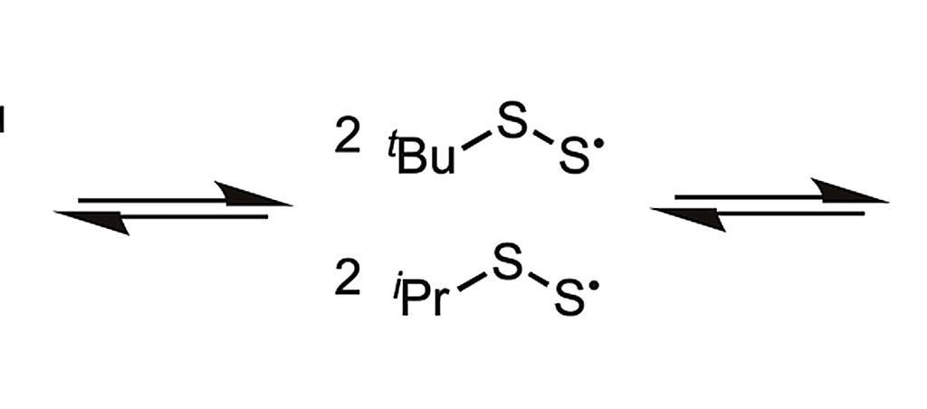 Surprising radical mechanisms of antioxidant polysulfides | Research ...