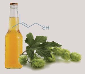 Trouble brewing | Feature | Chemistry World