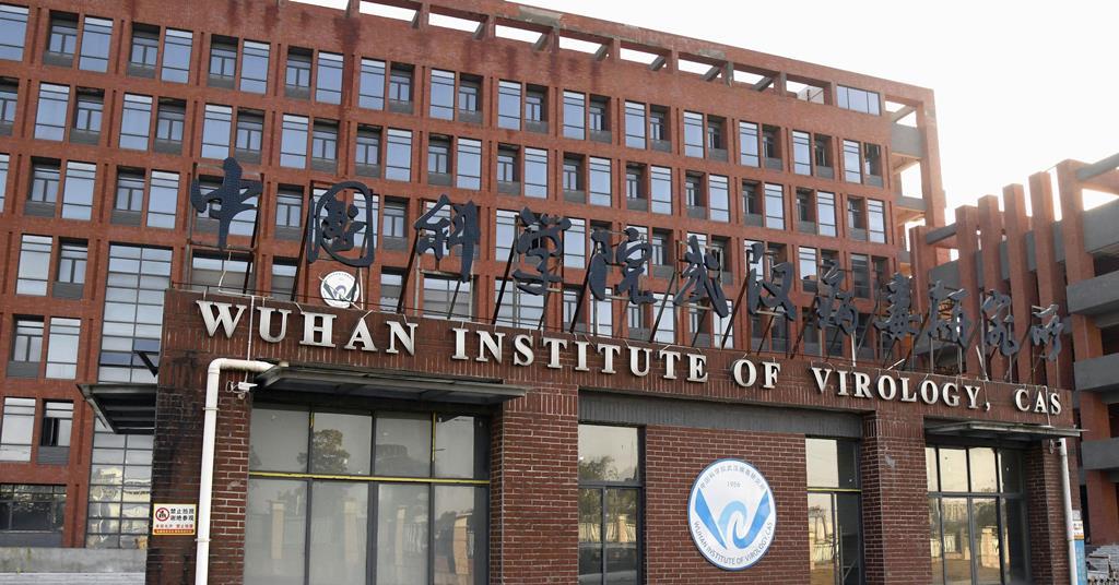 US government bans Wuhan lab from federal funding | News | Chemistry World