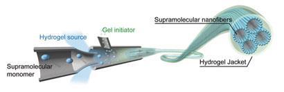 Growing super long fibres in seaweed jackets | News | Chemistry World