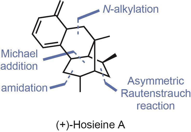 Hosieine A | Opinion | Chemistry World