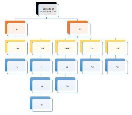 Significant SARS-CoV-2 variants circulating around the world: origin ...