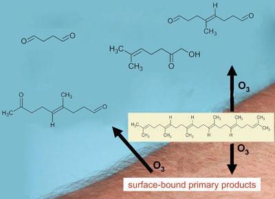Ozone reaction with skin causes irritants | News | Chemistry World