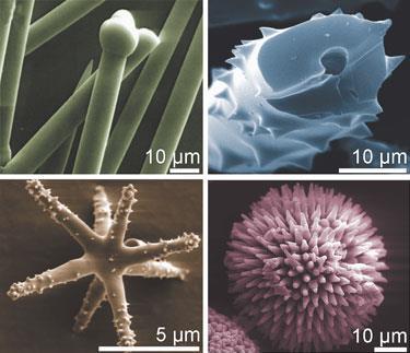 Guessing nature's silica secrets | News | Chemistry World