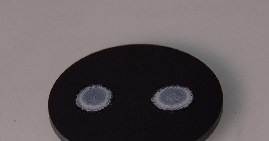 Fossilised bones inspire long-term DNA data storage | Research ...