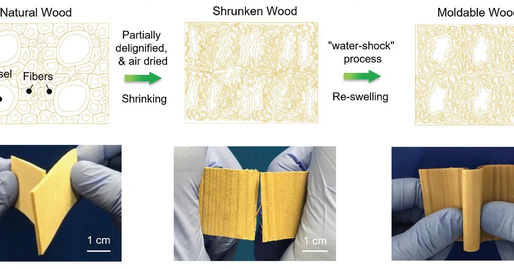Wood made foldable and stronger than steel | Research | Chemistry World
