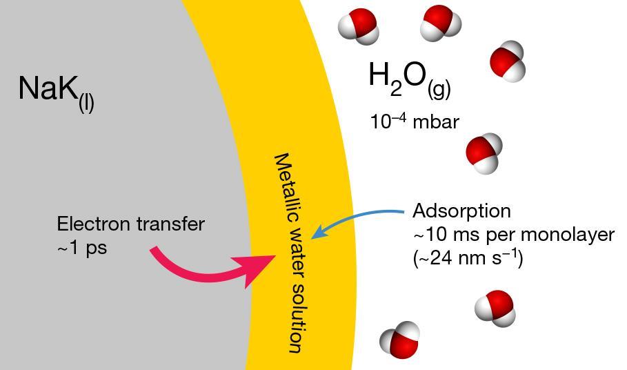 First fleeting glimpse of metallic water | Research | Chemistry World