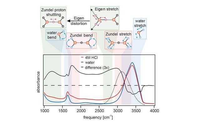 Excess protons play hopscotch in water | Research | Chemistry World