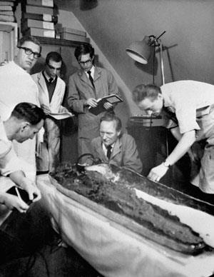 Flashback: 1983 – Cookson Group celebrate golden anniversary | Opinion ...