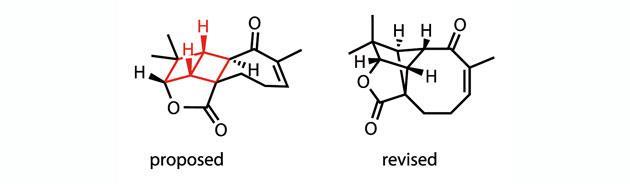 Calculations correct natural product structure | Research | Chemistry World