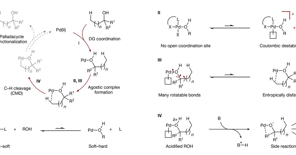 Clever ligand design enables alcohol-directed C-H activation | Research ...