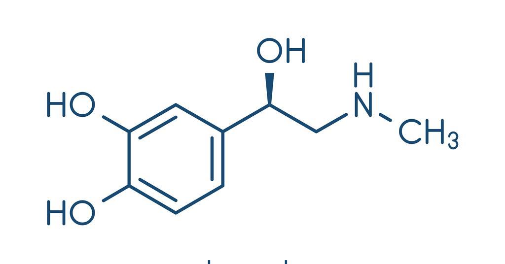 Adrenaline | Podcast | Chemistry World