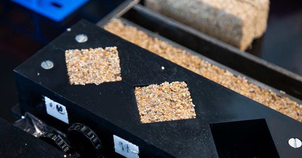 ‘Living bricks’ that can reproduce could cut construction’s carbon ...