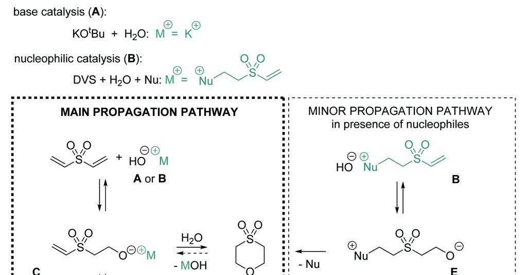 Water works as a monomer in polymer synthesis | Research | Chemistry World