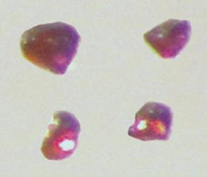 First double salt containing negative platinum ions | Research ...