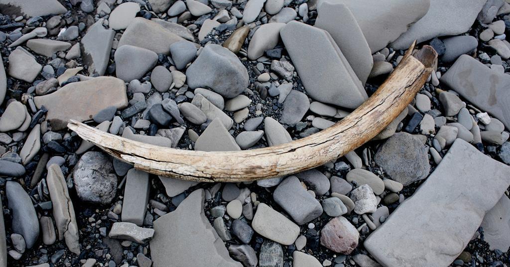 Stable isotope analysis offers faster, cheaper way to identify illegal ...