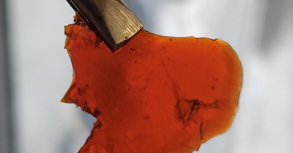 Greener plastic made from leftover fish guts and bones | Research ...