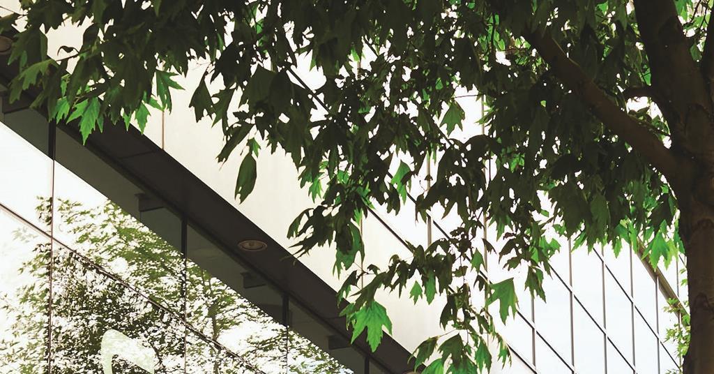 The Science of Fate: Why Your Future is More Predictable Than You Think ...