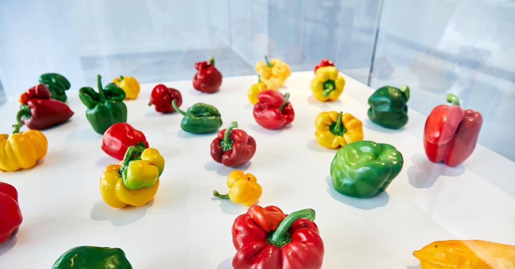 The Science of Fate: Why Your Future is More Predictable Than You Think ...