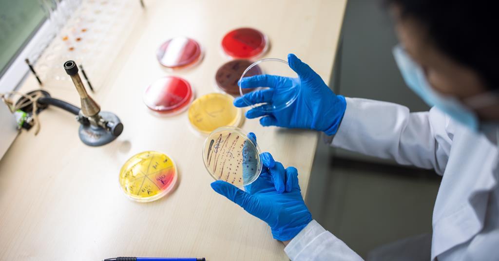 Blocking bacteria’s self-poisoning mechanism weakens their antibiotic ...