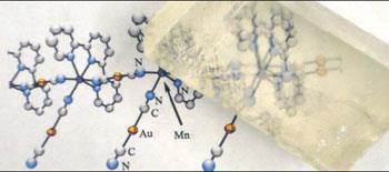 Polymer chemists see double | News | Chemistry World