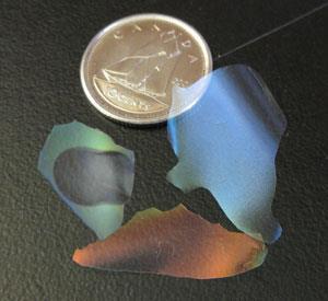 Cellulose used to make smart window materials | News | Chemistry World