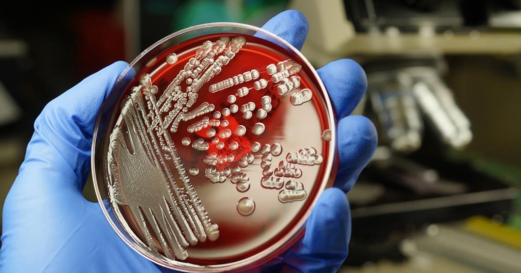 First bacterium with a totally redesigned genome created | Research ...