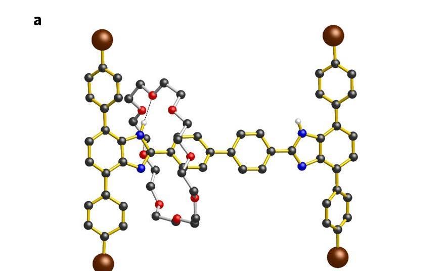 Exchange of rings shows off molecular machine's clever trick | Research ...