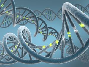 Exploiting the chirality of DNA | Research | Chemistry World
